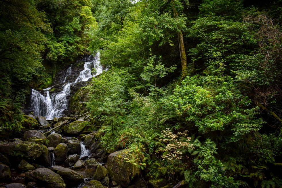 Ireland’s Best Scenic Drive: The Ring of Kerry