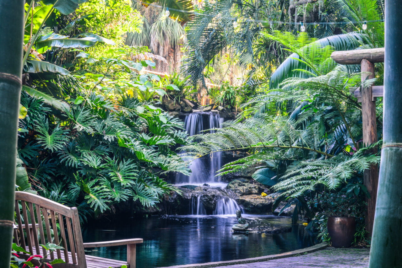 Discover the Enchanting Beauty of Marie Selby Gardens: A Tropical ...